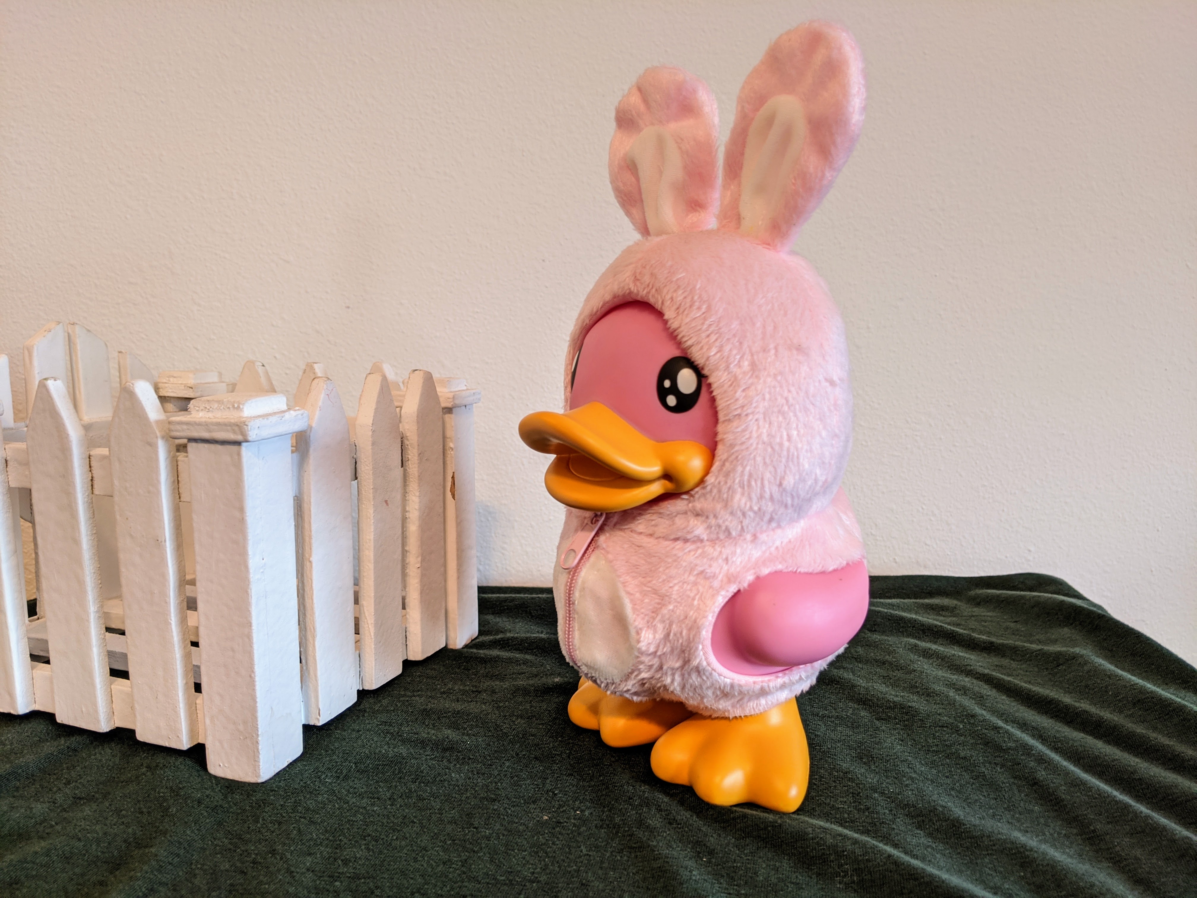B.Duck Savings Bank – Pink Rabbit Costume – Duck of the Day