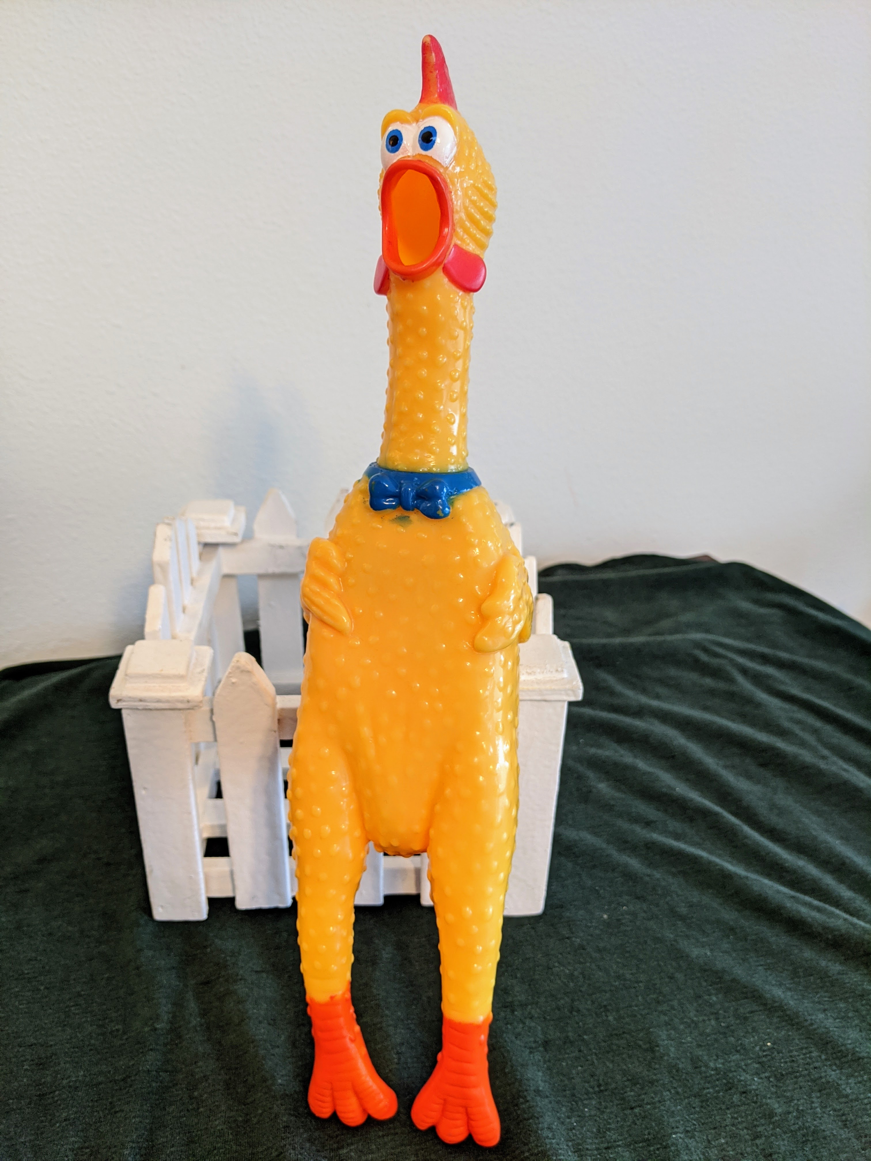 Champion Rubber Chicken – Duck of the Day