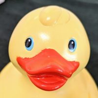Semk – Duck of the Day