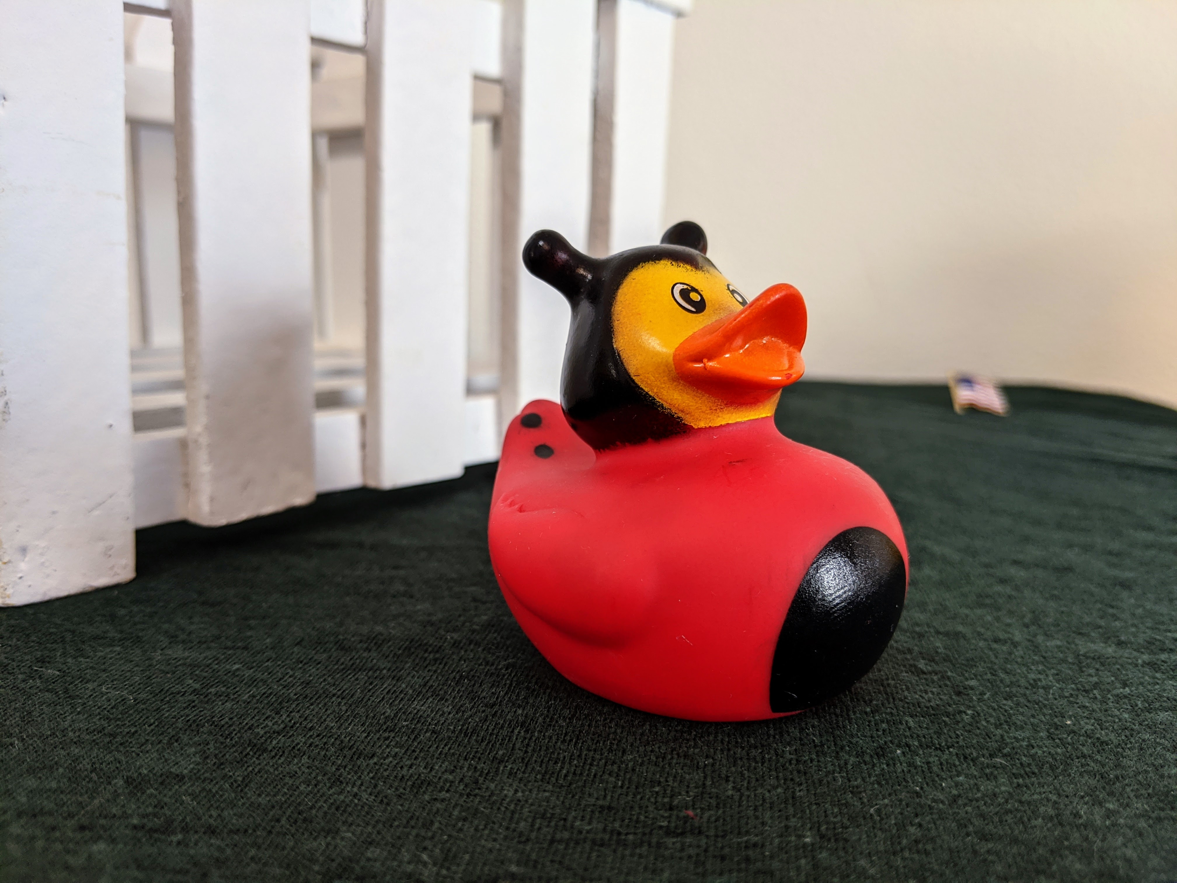 Uncategorized – Duck of the Day