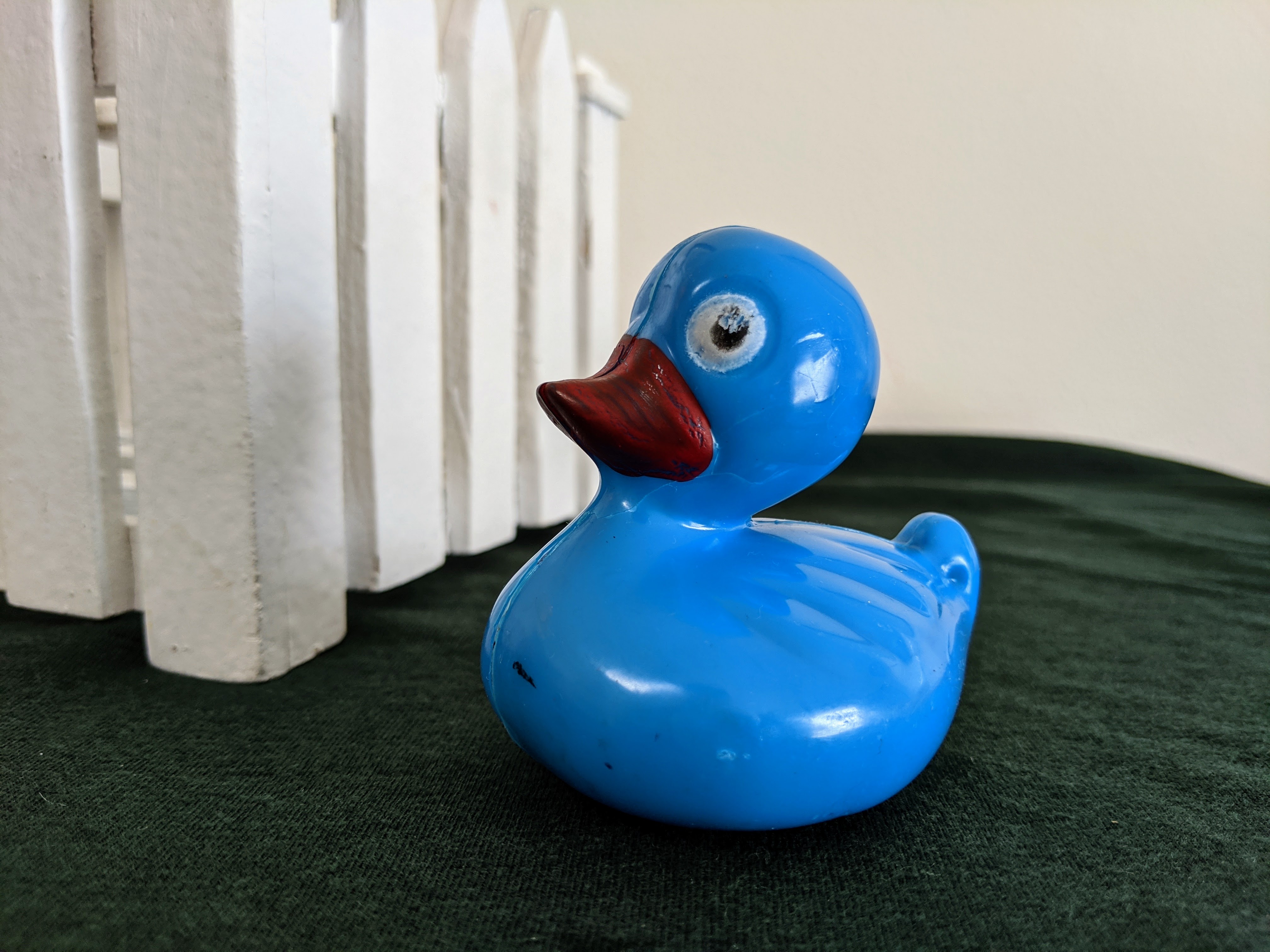 Floating Plastic Duck – Duck of the Day