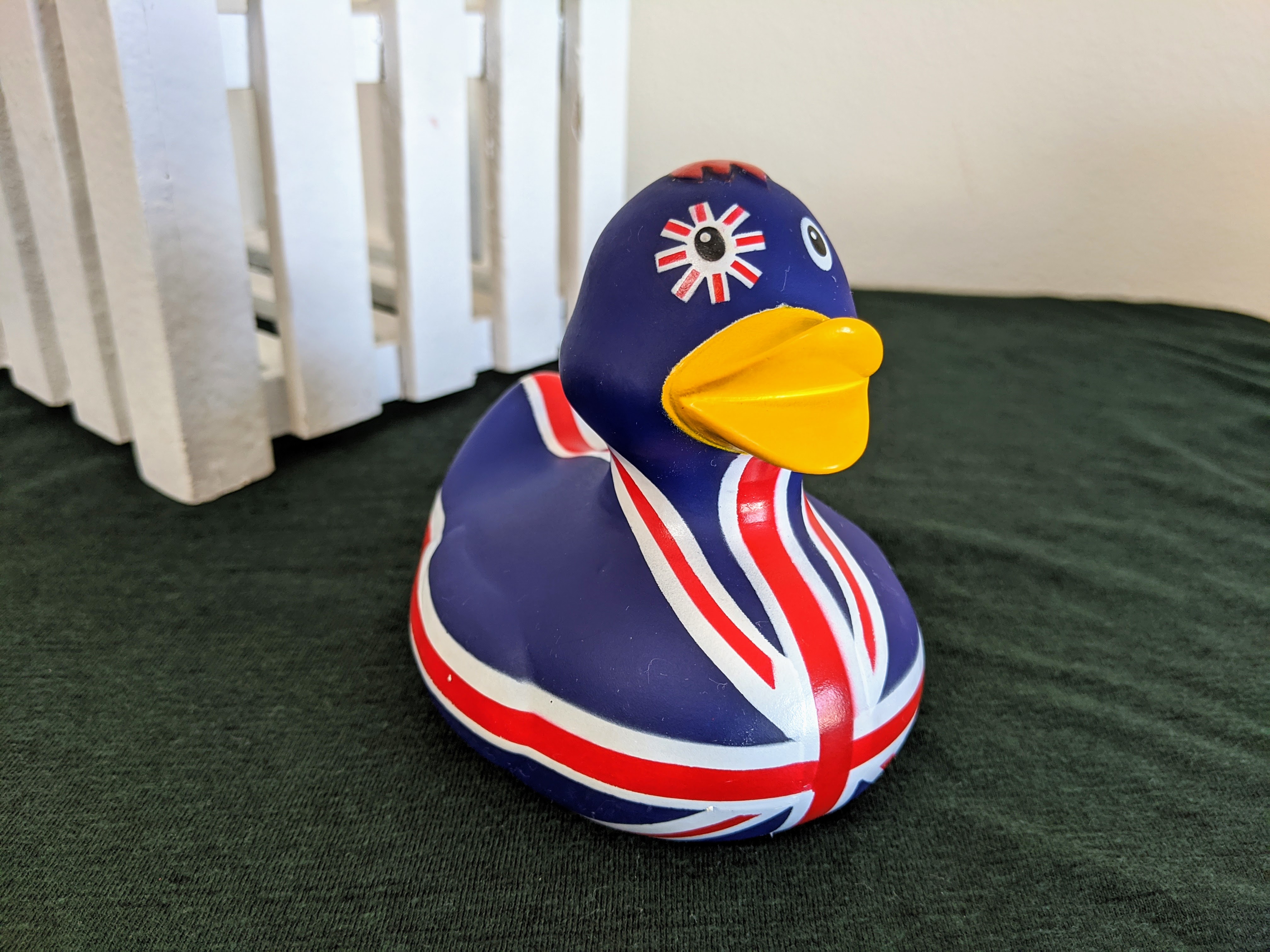 Union Jack Duck – Duck of the Day