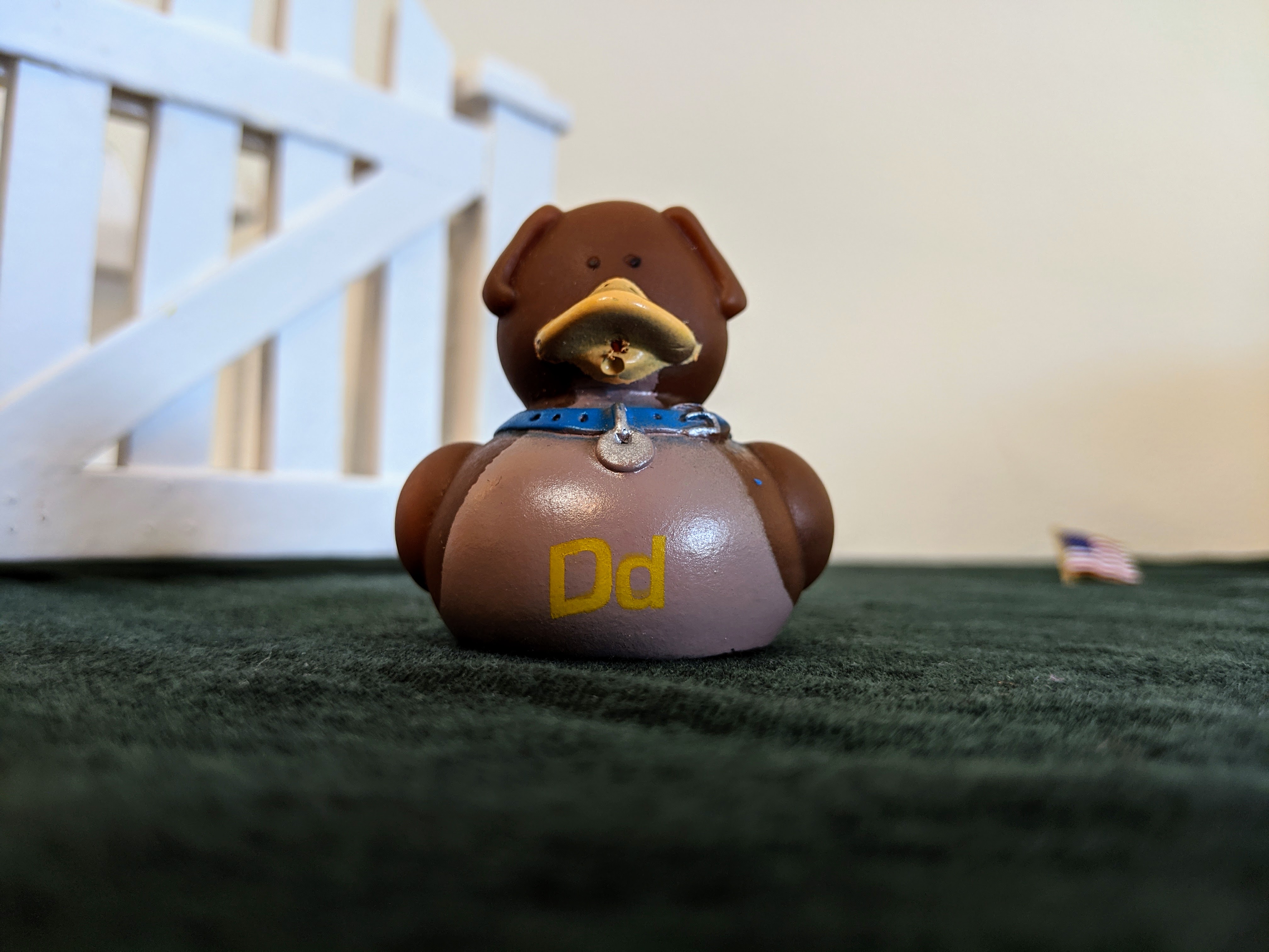 Dd Ducky – Duck of the Day