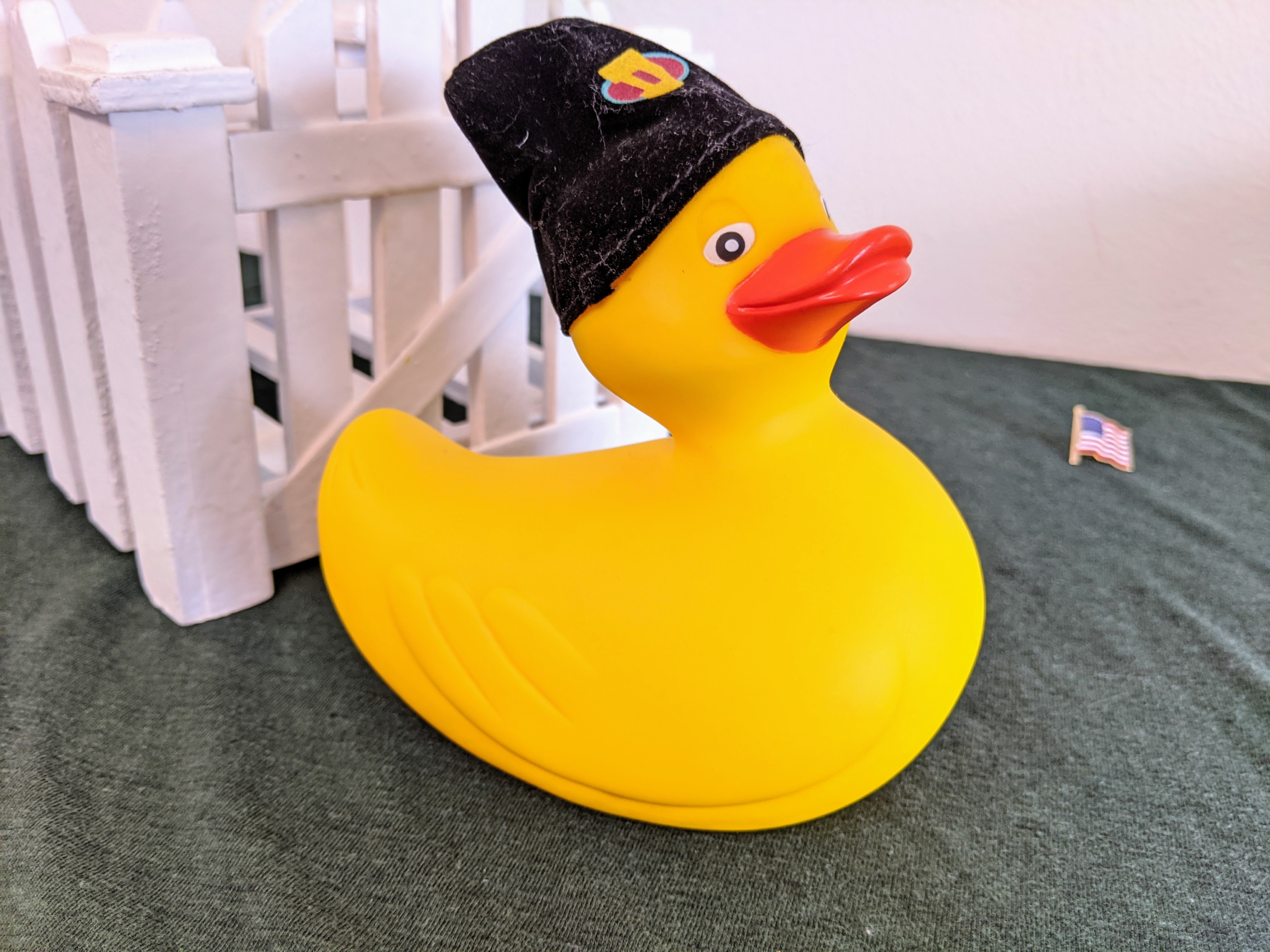 “Get Down with” Ducky D – Duck of the Day