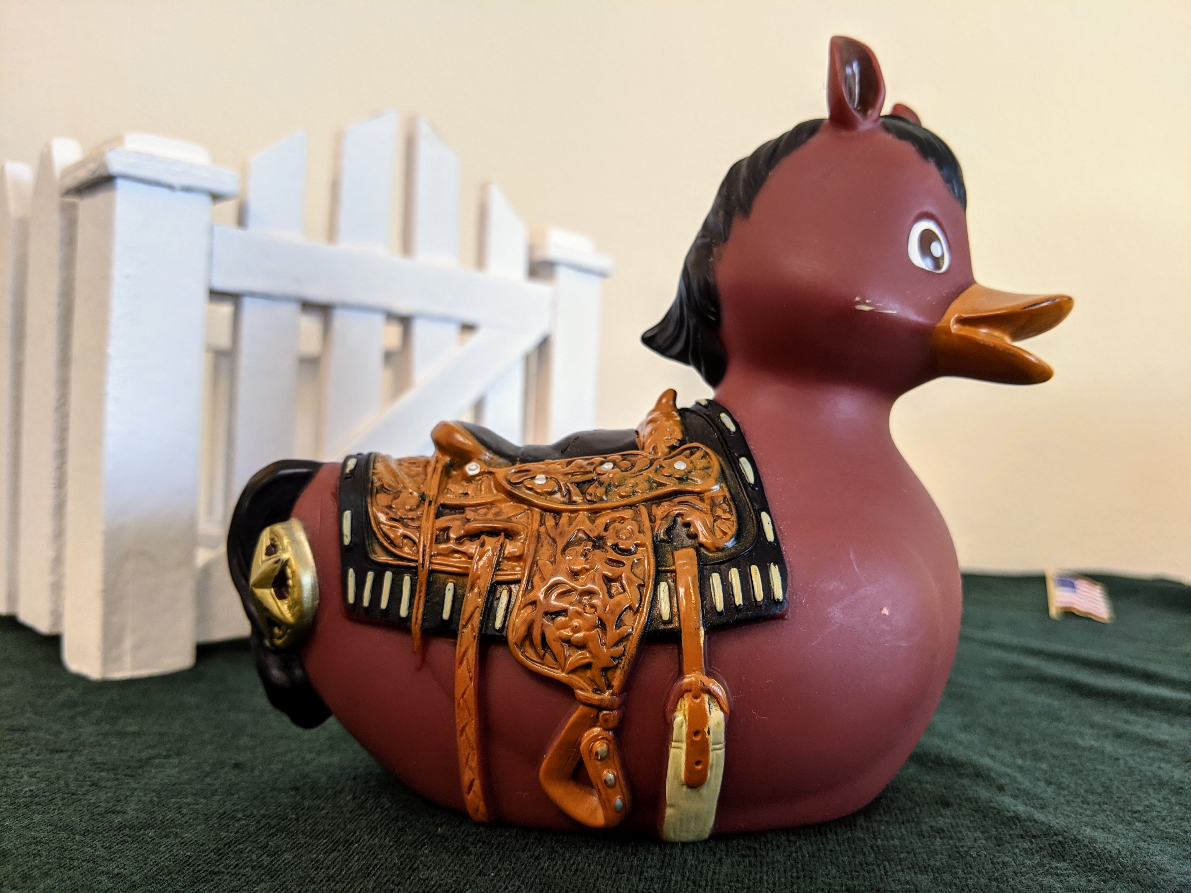 “Whoa…” Giddy-Up! – Duck of the Day